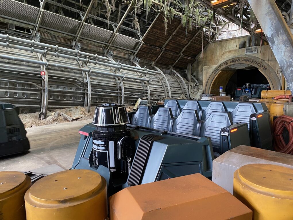 Disney World Frustrating Rides - How to Actually Enjoy Them - Steps to ...
