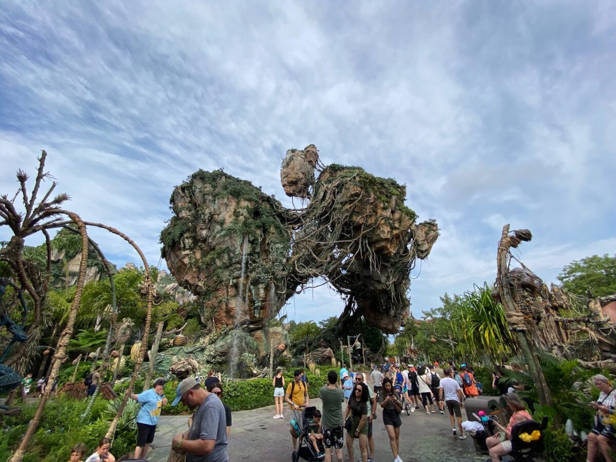 Pandora World of Avatar - Top Things to Do & See - Steps to Magic